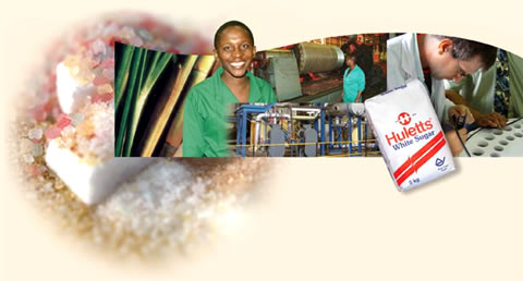 Tongaat-Hulett Annual Report 2002