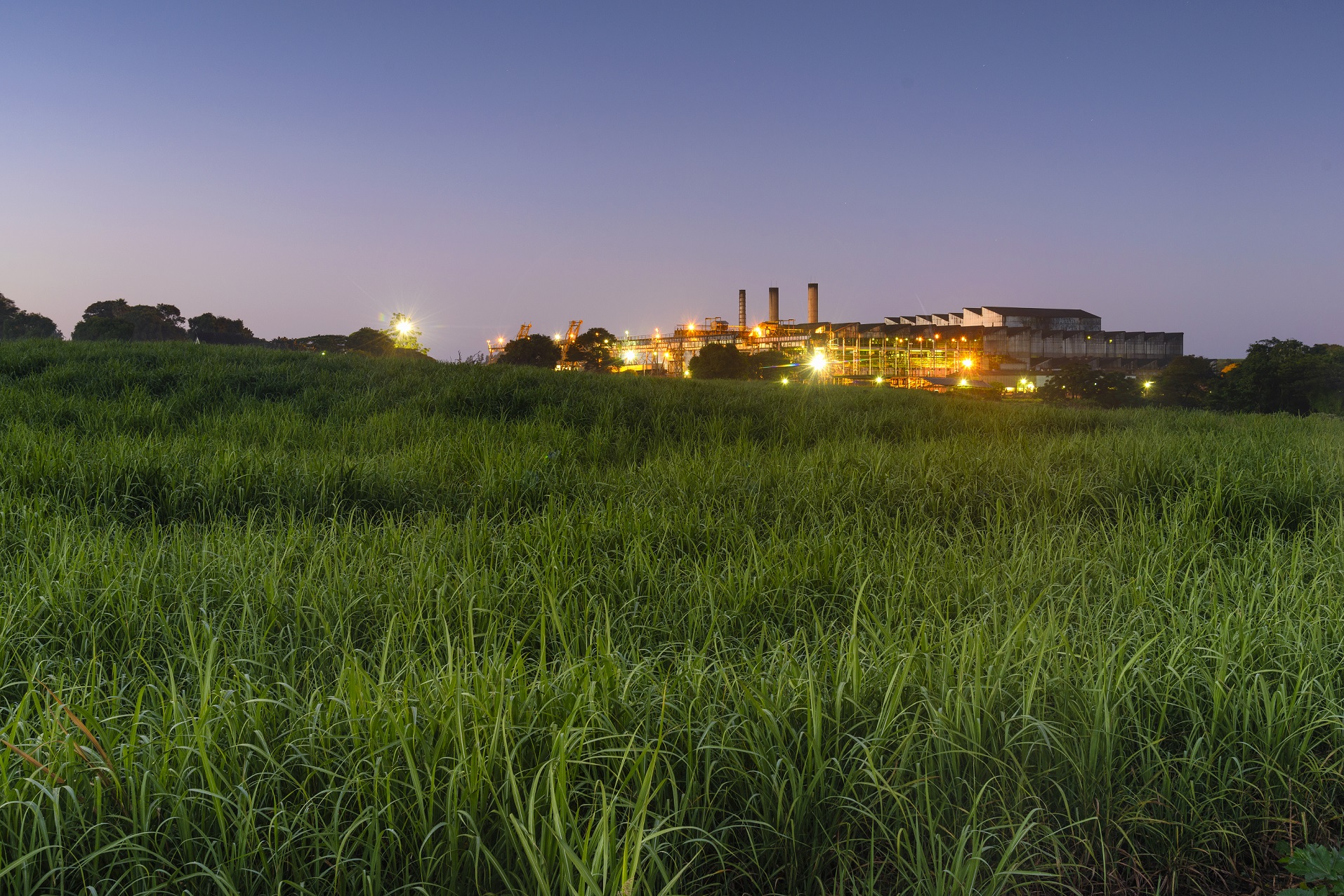 INVESTING IN THE FUTURE OF THE SA SUGAR INDUSTRY THROUGH SKILLS ...