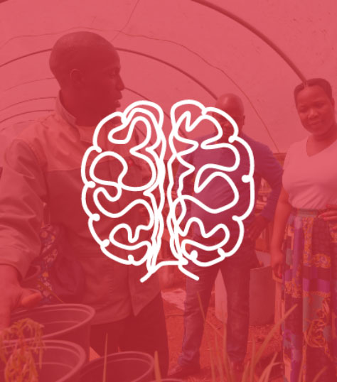 Working at Tongaat - Tongaat Hulett